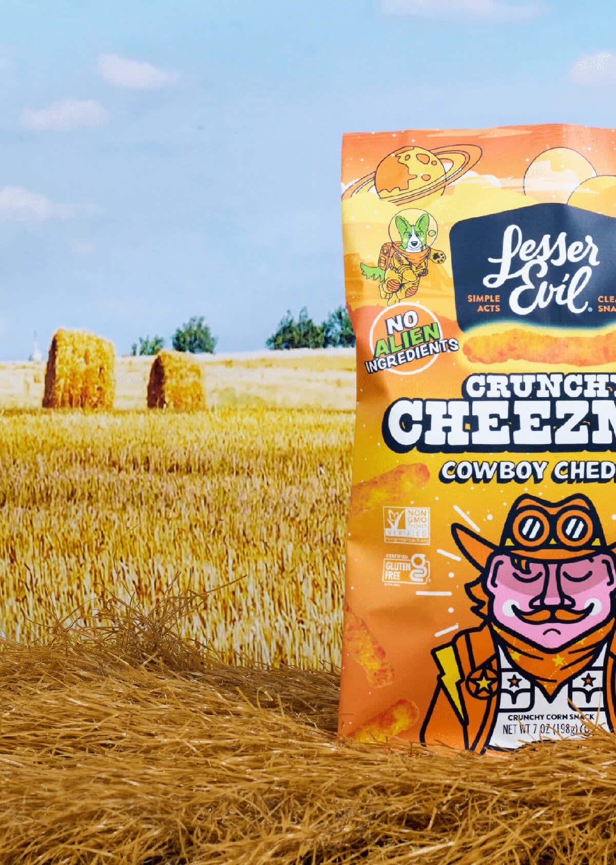 LesserEvil | Feed the Feeling With Healthy Snacks – LesserEvil Snacks