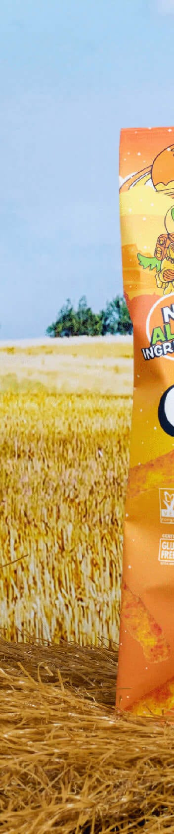 LesserEvil | Feed the Feeling With Healthy Snacks – LesserEvil Snacks