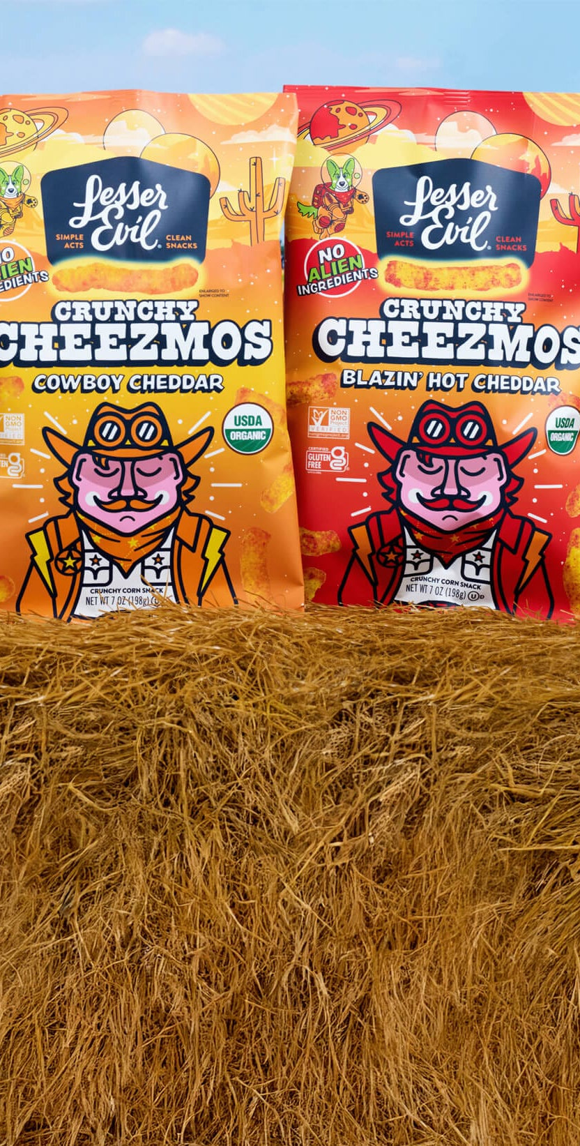 LesserEvil | Feed the Feeling With Healthy Snacks – LesserEvil Snacks